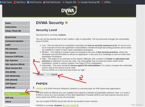 Sqlmap自动化漏洞利用（dvwa初、中、高）12使用sqlmap对dvwa进行自动化注入。 Csdn博客
