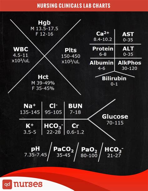 Comprehensive Metabolic Panel