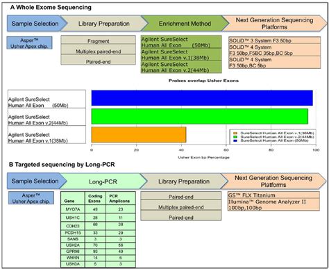 Workflow Of The Next Generation Sequencing Strategies Used A Whole Download Scientific
