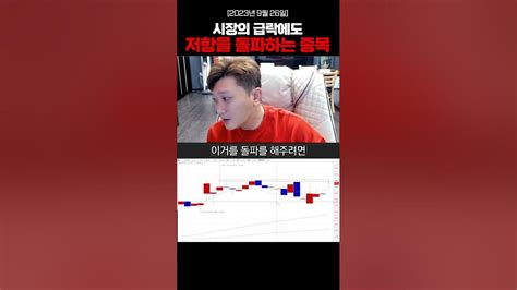 시장의 급락에도 저항을 돌파하는 종목 Youtube