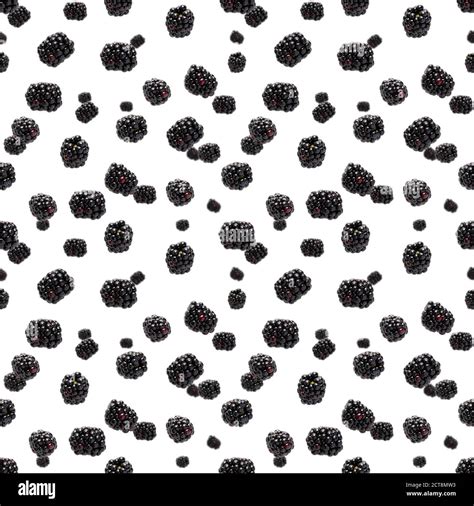 Falling Bramble Seamless Pattern Fresh Falling Blackberry Seamless Pattern Pattern With Fresh