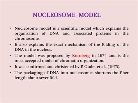 Eukaryotic Chromosomal Organization Pptx Biological Sciences Science