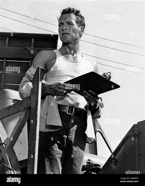 Paul Newman Film The Young Philadelphians The City Jungle Usa 1959