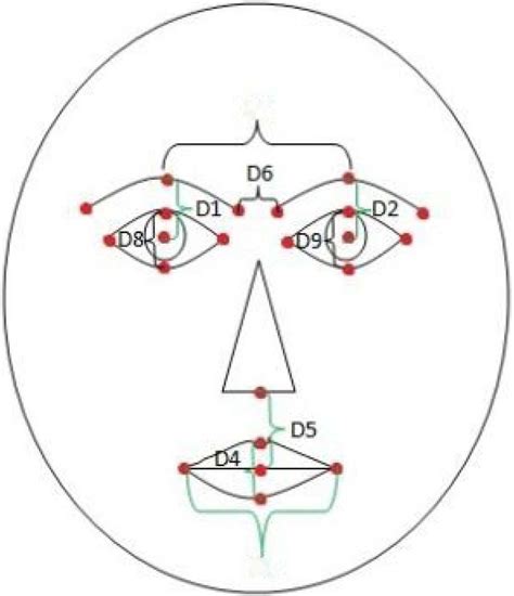 The Face Model Containing The Facial Feature Elements D Facial