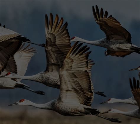 How To Make Your Next Windows Migration A Success Xeretec