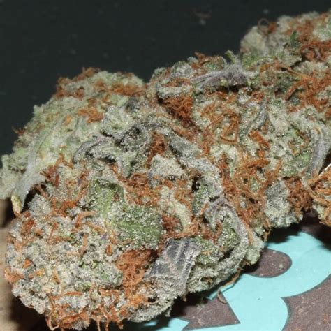 Reeferman Genetics Ubc Chemo Strain Feminized Old School Breeders