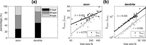 tree branching nodes and topological shape a shows proportion of