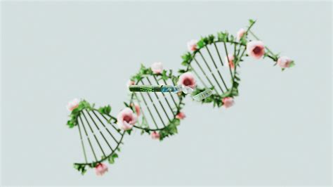 Genomics Visualising AI Behance