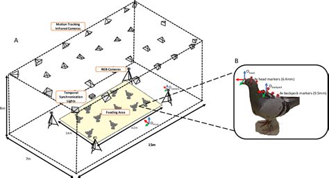 figure 2 from 3d pop an automated annotation approach to facilitate