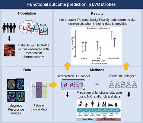 Deep Learning Versus Neurologists Functional Outcome Prediction In Lvo