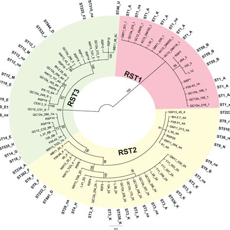 Mlst Clonal Complexes Clonal Complexes And Singletons Identified By