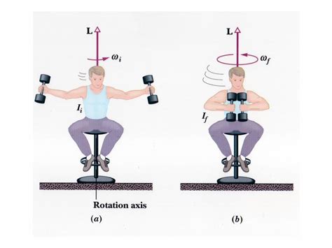 Ppt Statics Problems And Elasticity Dokumen Tips