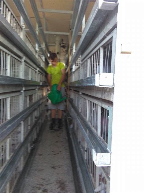 Centrul Lipova Centrul Lipova Added A New Photo