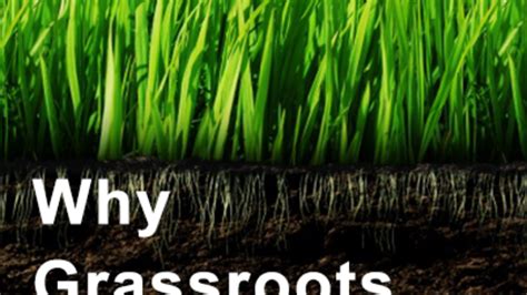 Why Grassroots Matter