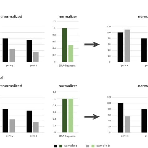 Example Chipseeker Peak Annotation Plot Download Scientific Diagram