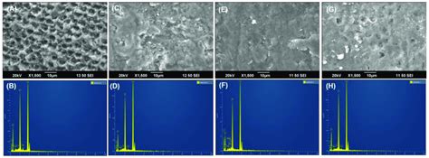 Sem A C E G And Edx B D F H Analysis Of The Enamel Images Are The Download Scientific