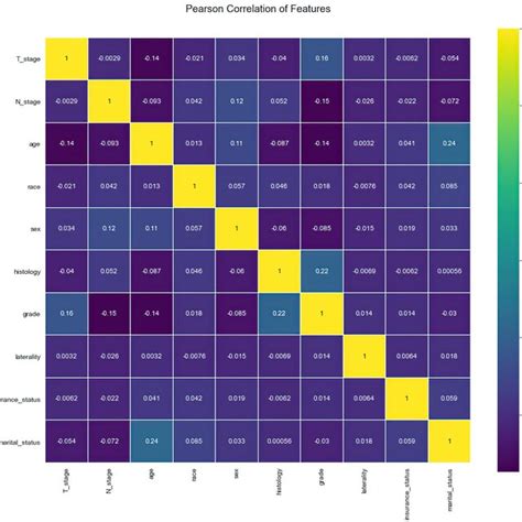 Feature Importance Derived From Random Forest Model The Plot Shows Download Scientific Diagram