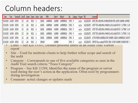 Master The Mystery Of Softlab Audit Trail Jane Blackmar Ppt Download