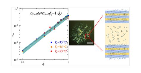 Origin Of Lamellar Stack Structures In Dilute Semicrystalline Polymers