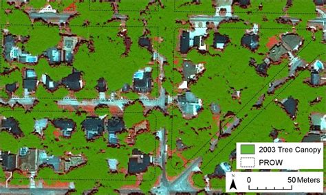 Image Showing 2003 Tree Canopy Classification With Prow Boundaries As
