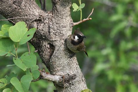 Parallax Background Photos Download The Best Free Parallax Background