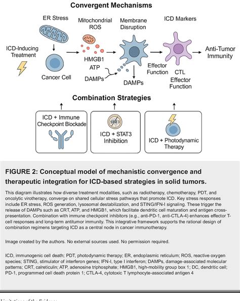 Figure 2 From Immunogenic Cell Death As A Target For Combination