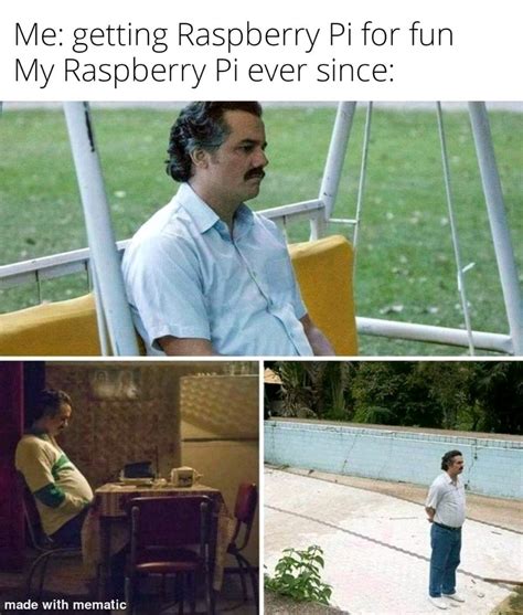 how my pi is doing… r raspberry pi projects