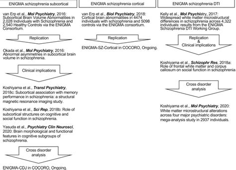 Development Of The Enhancing Neuroimaging Genetics Through