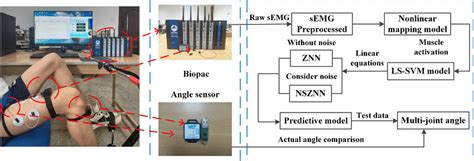 The Structure Of Continuous Motion Estimation Download Scientific Diagram