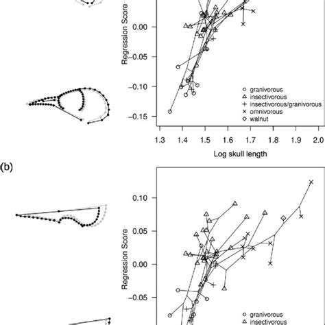 Shape Allometry Estimated With The Multivariate Regression Of The Download Scientific Diagram