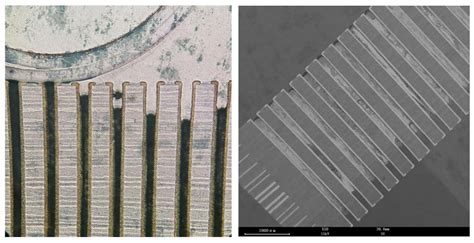 泽攸扫描电镜——pcb金相结构与阵脚局部能谱分析 泽攸科技