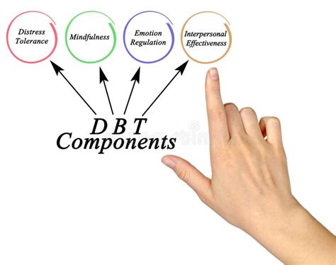 Presenting Four Components Of DBT Stock Photo Image Of Interpersonal Components 249706970