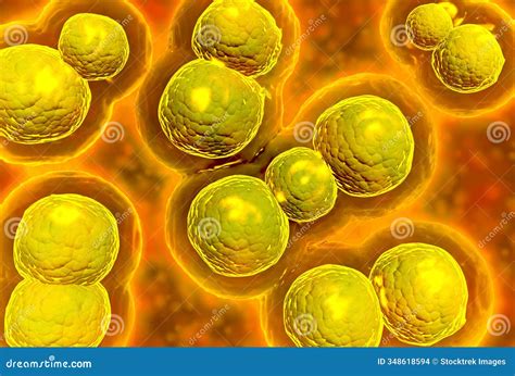Microscopic View Of Chlamydia Stock Illustration Illustration Of