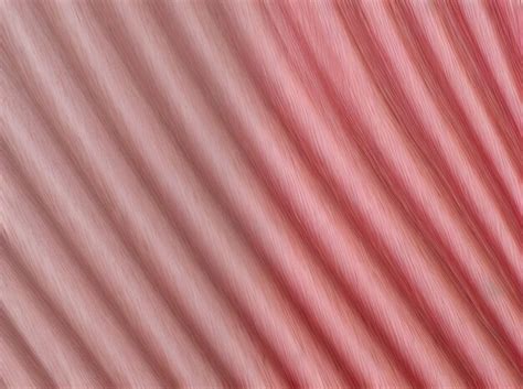 Premium Photo Wood Background Papercut Style Pastel Tones Sharp Focus