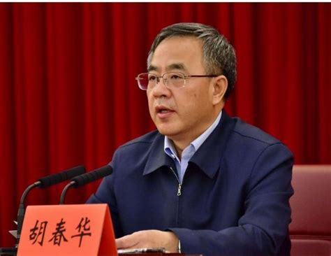 敏感时刻胡春华再次发声 新华社当天发文 中国政坛 倍可亲