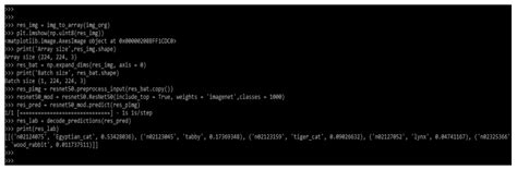 Keras Resnet Image File Handling And Transfer Learning