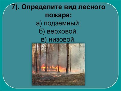 Правила поведения при пожарах в лесу презентация онлайн