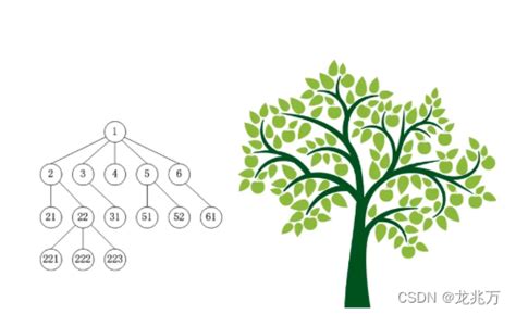 C语言描述数据结构 —— 二叉树1完全二叉树完全二叉树长度 Csdn博客