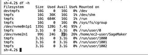 OSError Errno No Space Left On Device When Creating An Endpoint On Amazon Sagemaker AWS