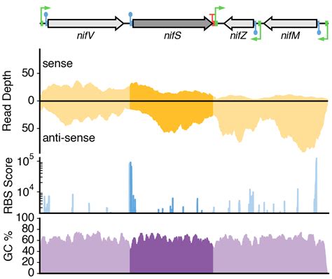 Github Cmdcolin Awesome Genome Visualization A List Of Interesting Genome Browser Or Genome