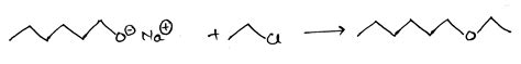Solved Show How Ethyl Hexyl Ether Might Be Prepared By A Williamson Ether Synthesis