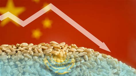 Казахстанские производители приостановили экспорт пшеницы в ожидании роста цен