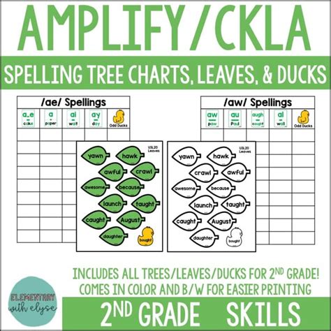 Spelling Tree Charts 2nd Grade Cklaamplify By Elementary With Elyse