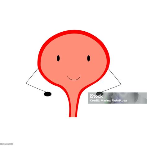 비뇨기 방광 인간 내부 장기 해부학 의료 개념 플랫 벡터 일러스트 레이 션 건강 진단에 대한 스톡 벡터 아트 및 기타 이미지 건강 진단 건강관리와 의술 공공건물