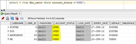 Oracle Create Local Connections Sql Developer Stack Overflow