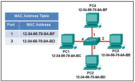 CCNA 1 V7 ITN V7 02 Practice Final Exam Answers 2025 100