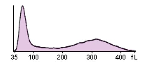 Histograms Flashcards Quizlet