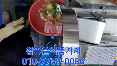 탕파절단기대파썰기 Youtube