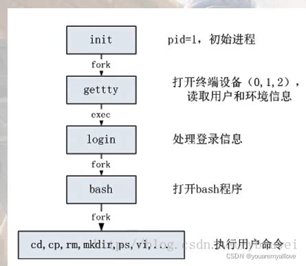 Linux C 通讯架构二进程和信号终端pts与进程的关系 pts就是一个bash命令解释器一个she 掘金