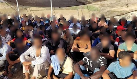 Brown Future On Migration Flows Memri
